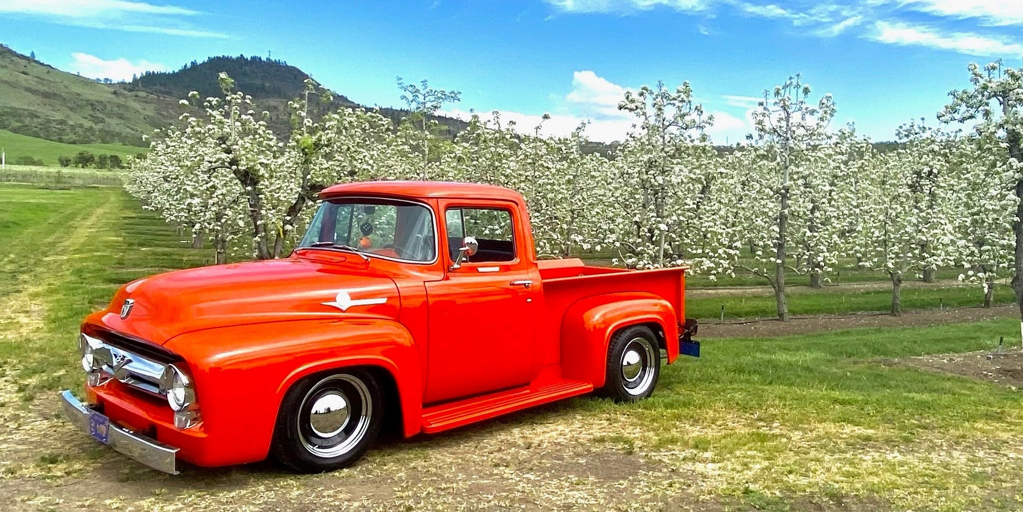 Ford F-100 Rat Rod (Series 651) Extended Sizing Gallery - FIRST CHOICE ...