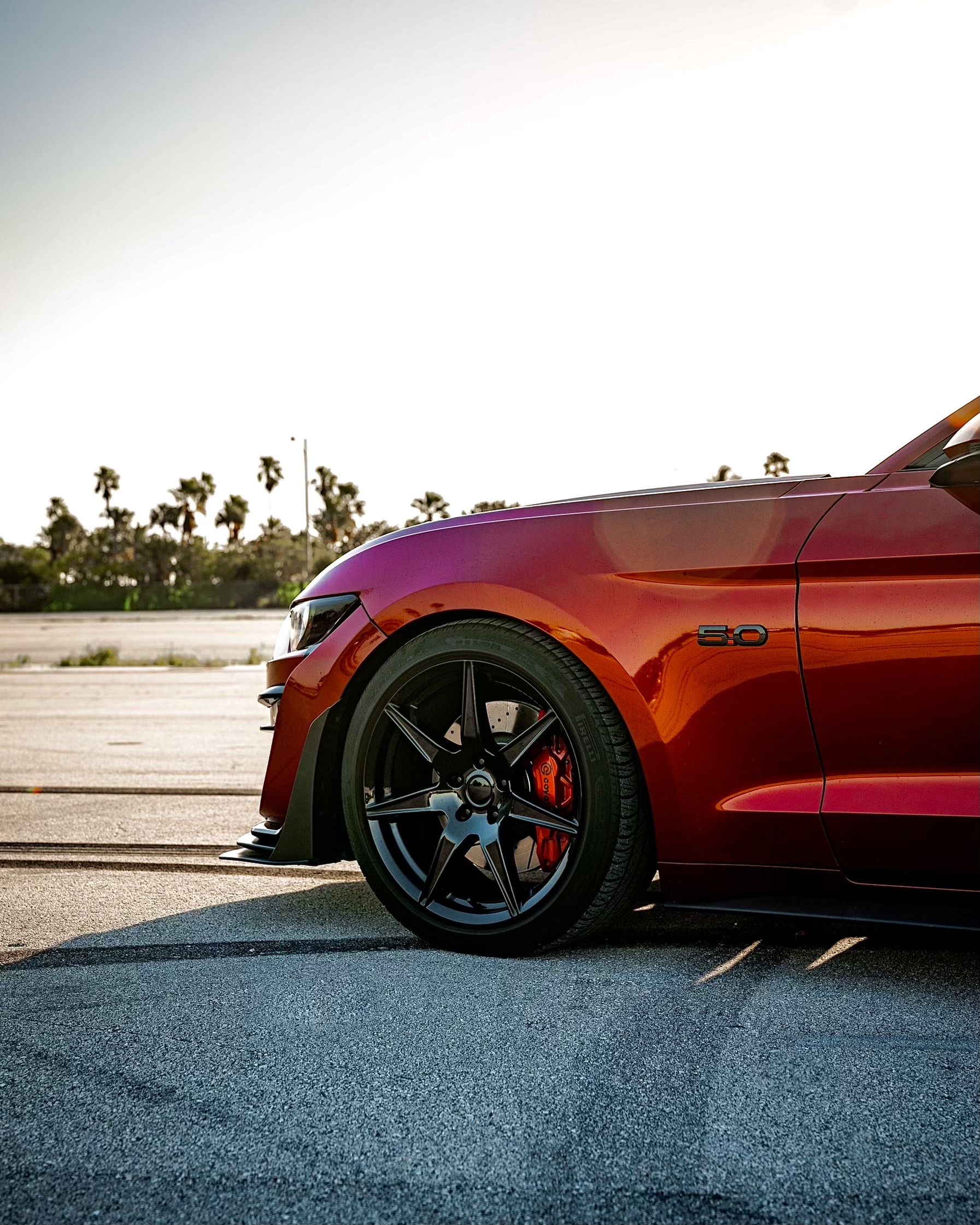Ford Mustang Mustang GT50 Gallery - SoCal Custom Wheels