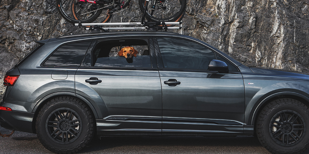 Audi Q7 Arches Gallery - Down South Custom Wheels